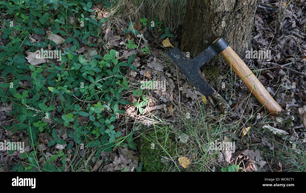 Viking farming tools hi-res stock photography and images - Alamy