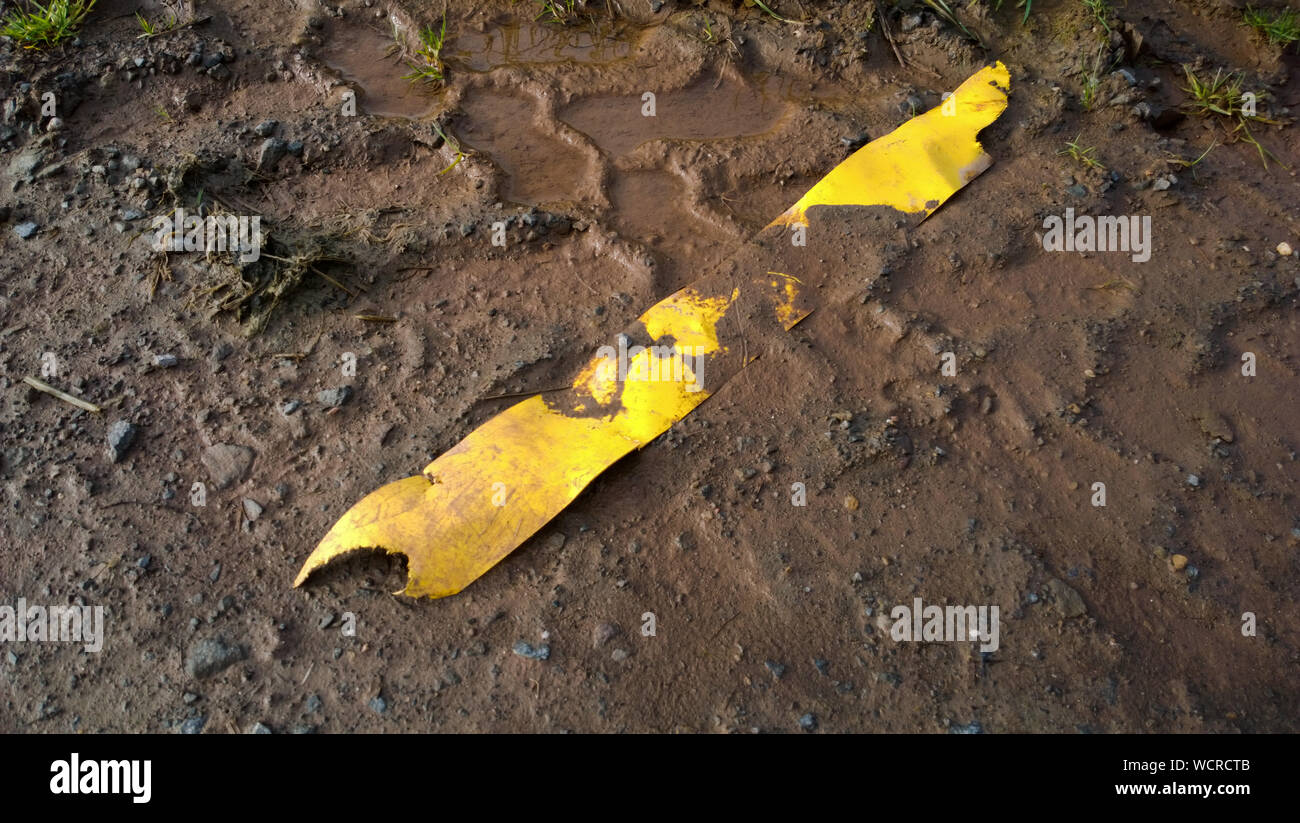 Mud field wet hi-res stock photography and images - Alamy