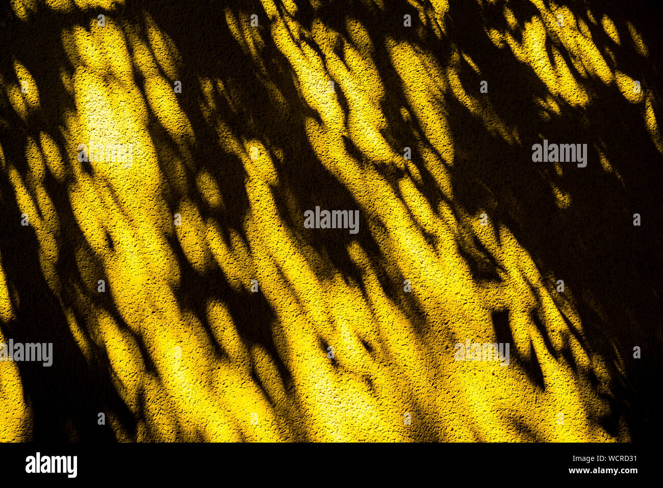 Shadow of tree falling on building High Resolution Stock Photography ...