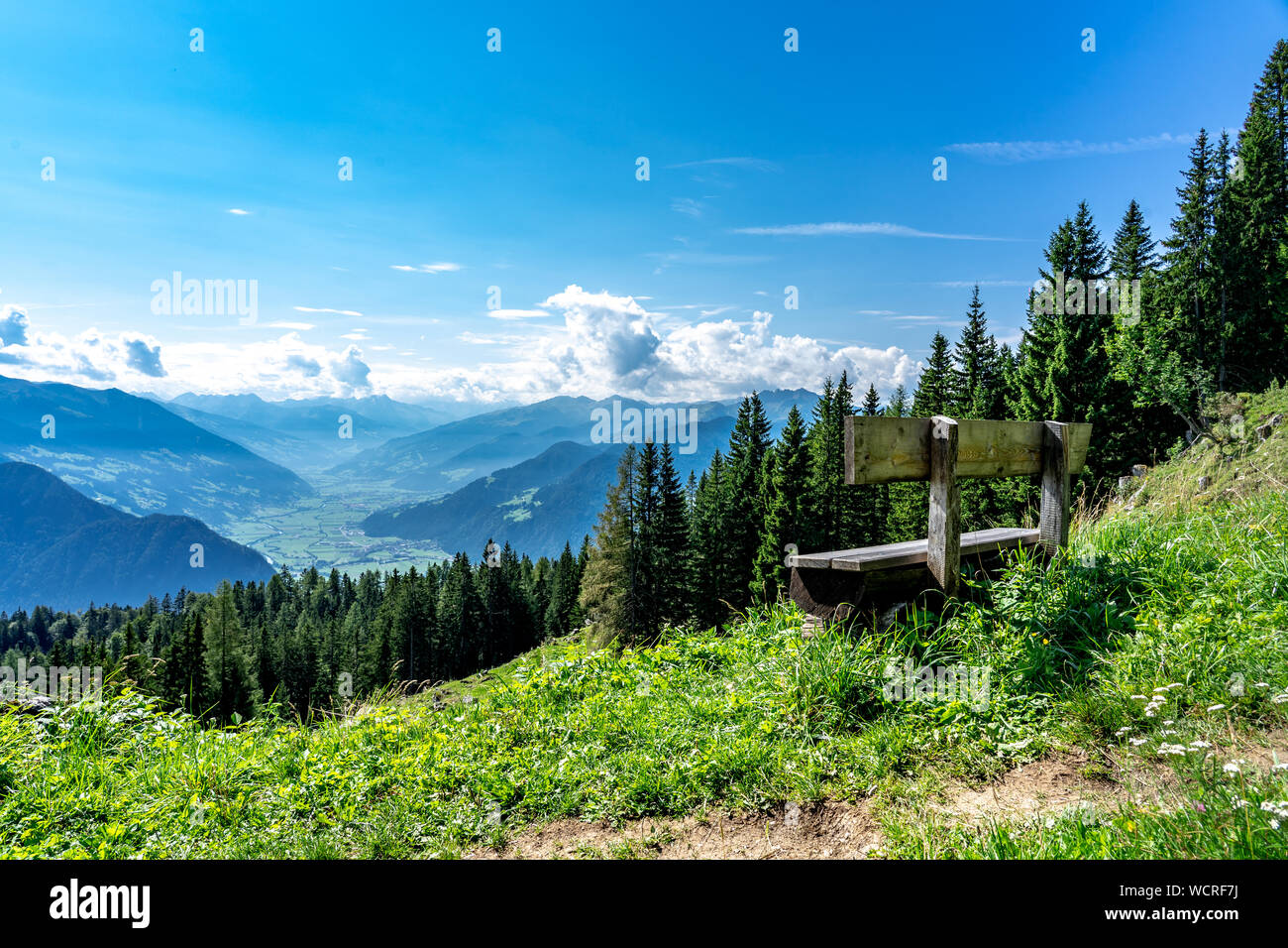 bench for resting while hiking and enjoying the green tyrol alm alps ...
