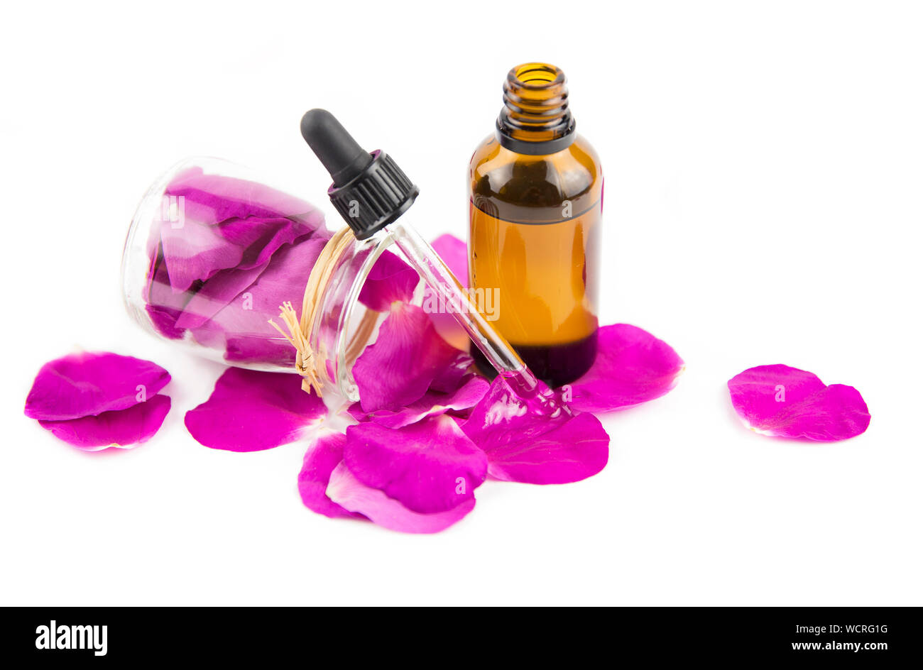 Rose hip in blossom Cut Out Stock Images & Pictures - Alamy