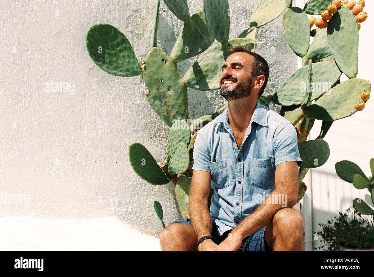 Sitting and cactus hi-res stock photography and images - Alamy