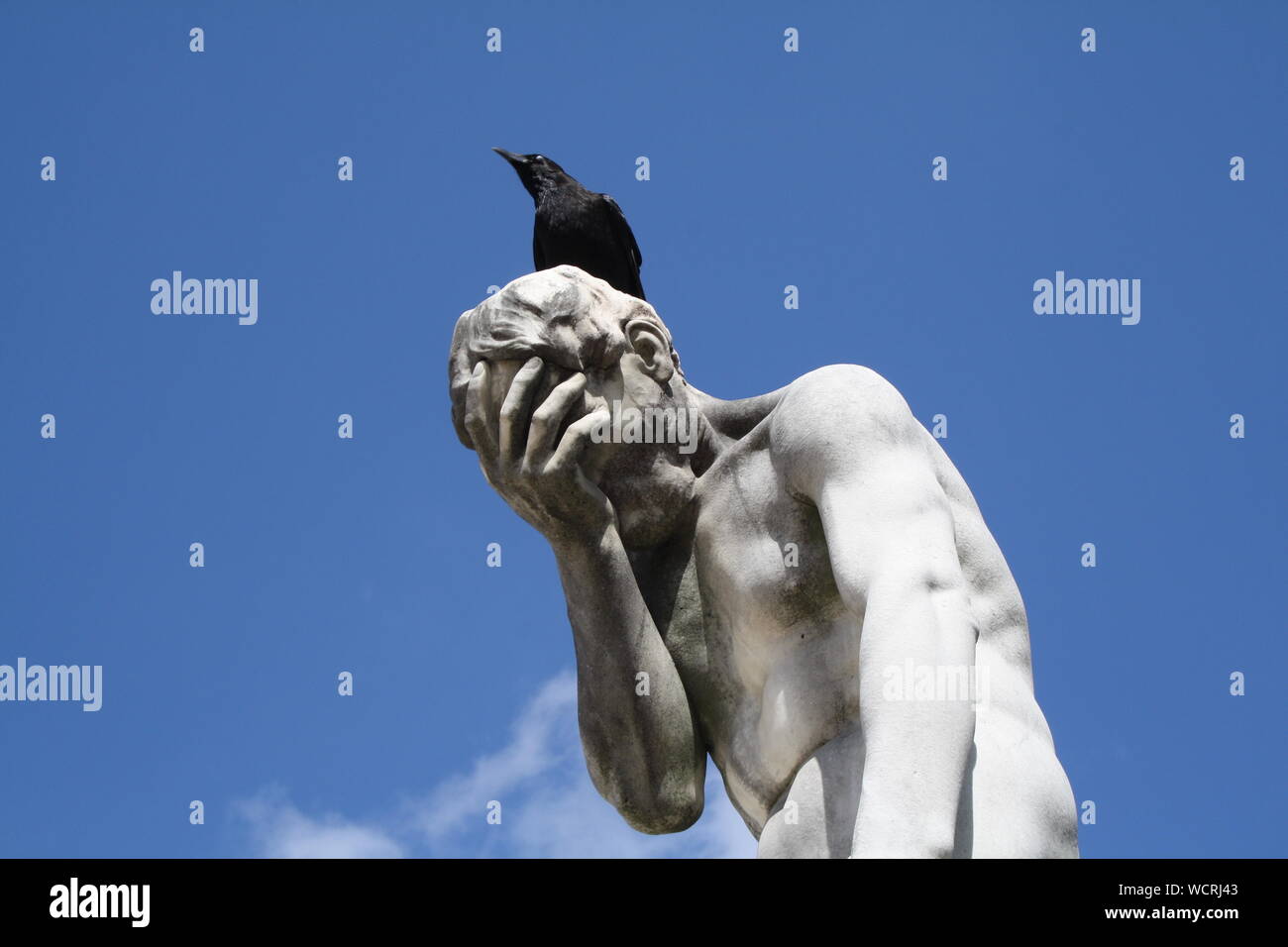 Raven Sculpture High Resolution Stock Photography and Images - Alamy