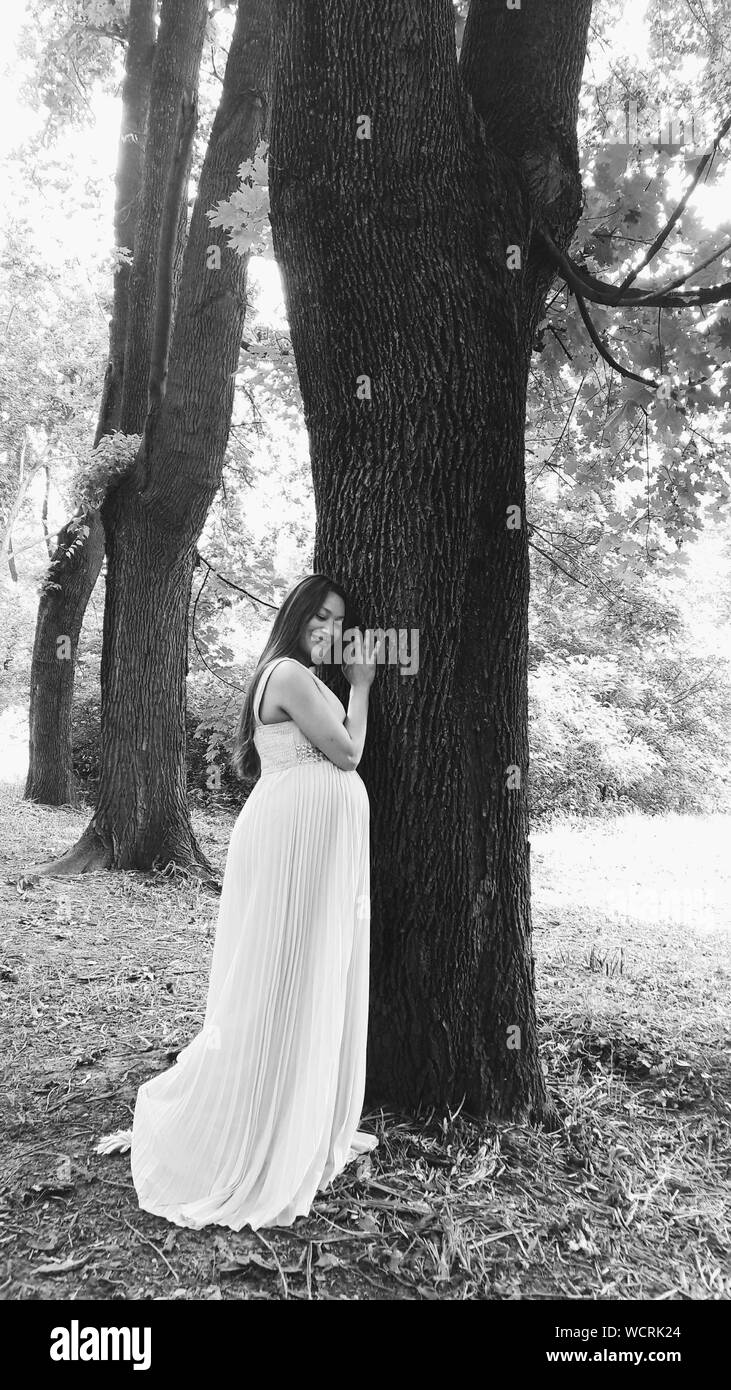The leaning tree trunk Black and White Stock Photos & Images - Alamy