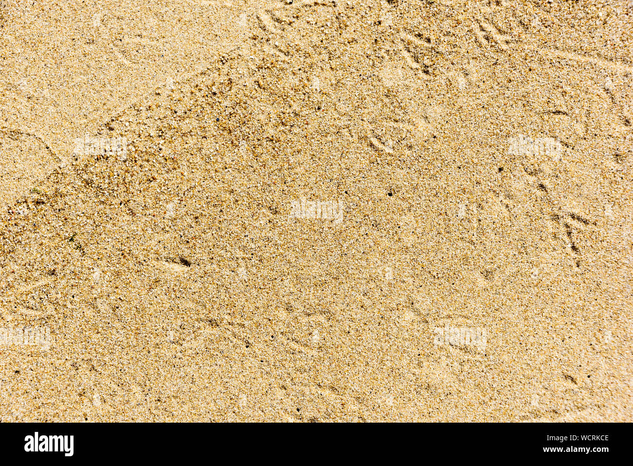 closeup of wet colorfull sand pattern of a beach Stock Photo - Alamy