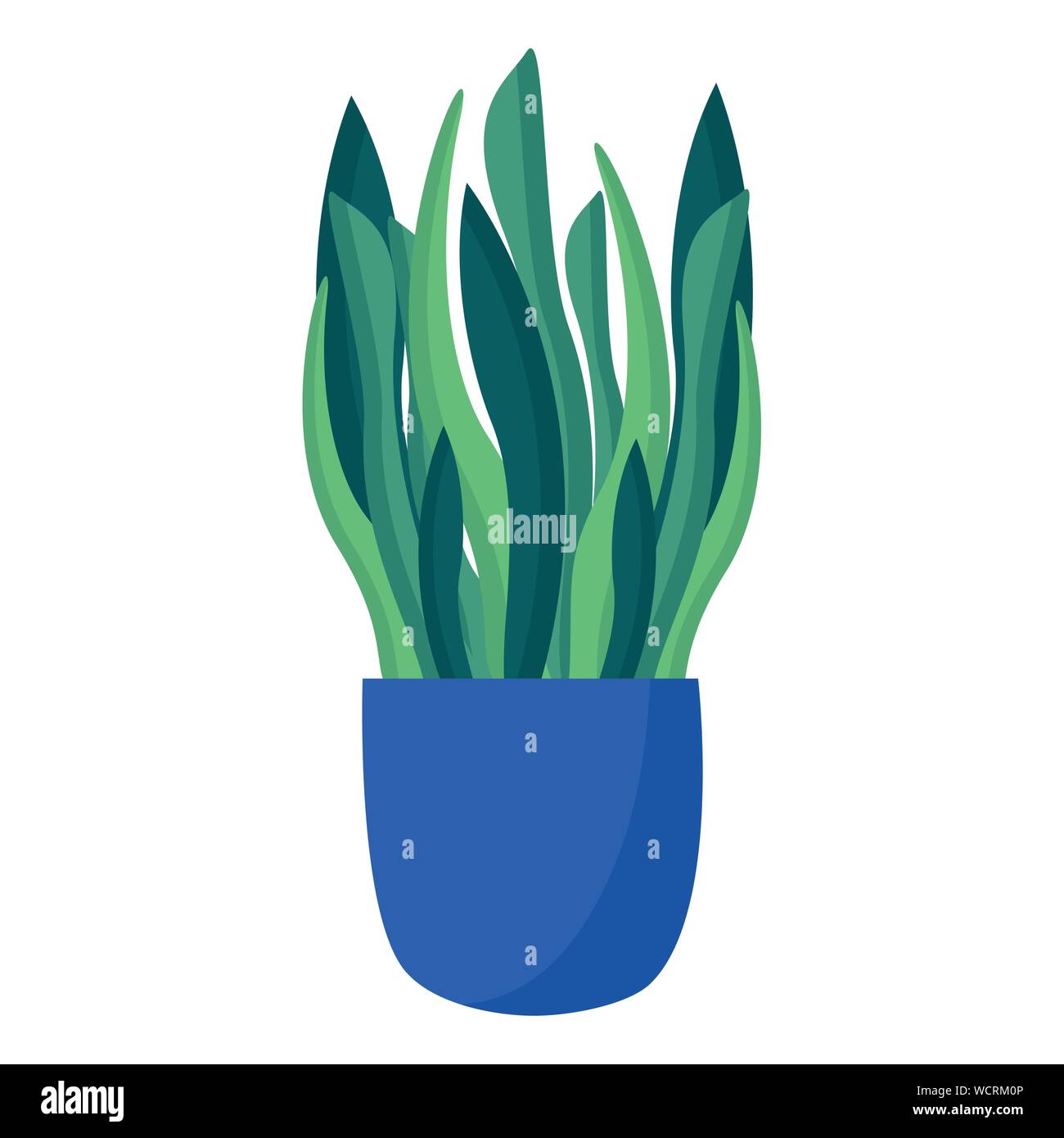 Isolated plant inside pot vector design Stock Vector Image & Art - Alamy