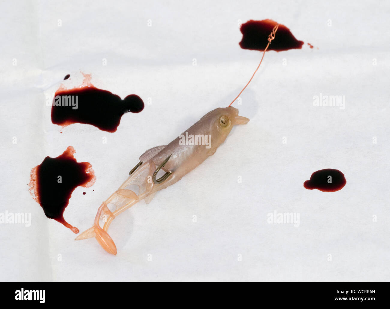 Fish trapped hi-res stock photography and images - Alamy