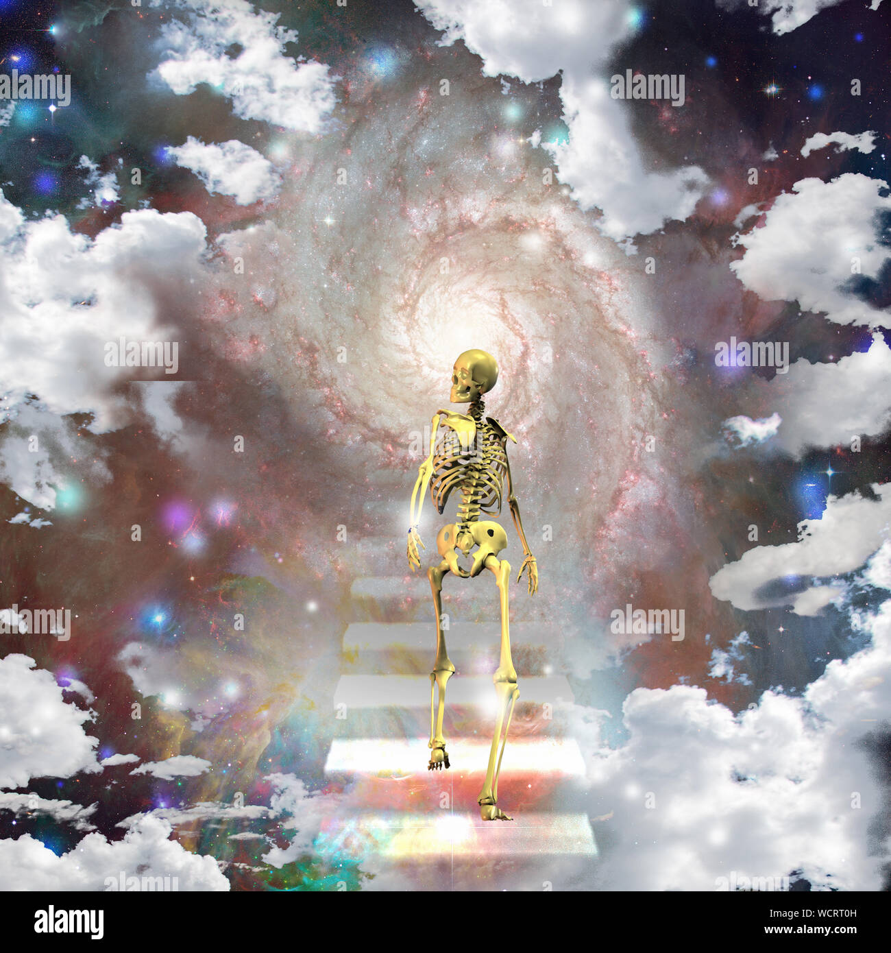 Skeleton ladder hi-res stock photography and images - Alamy