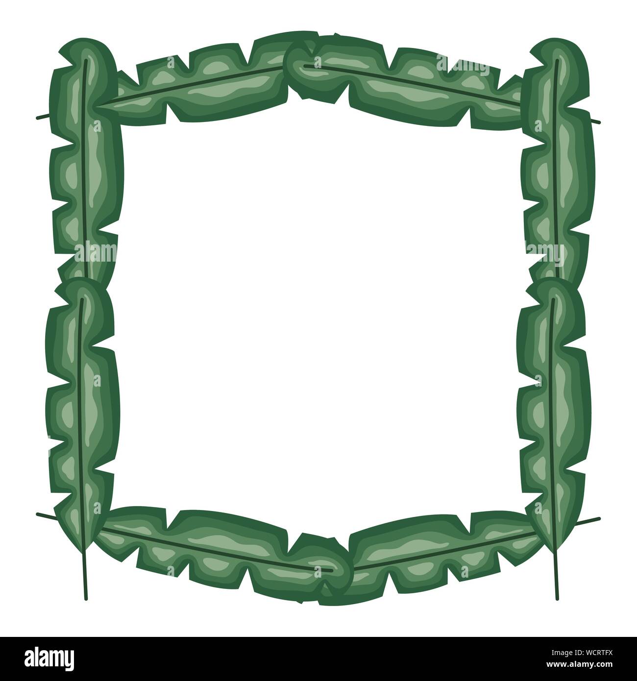 exotic and tropical leafs plants square frame vector illustration ...