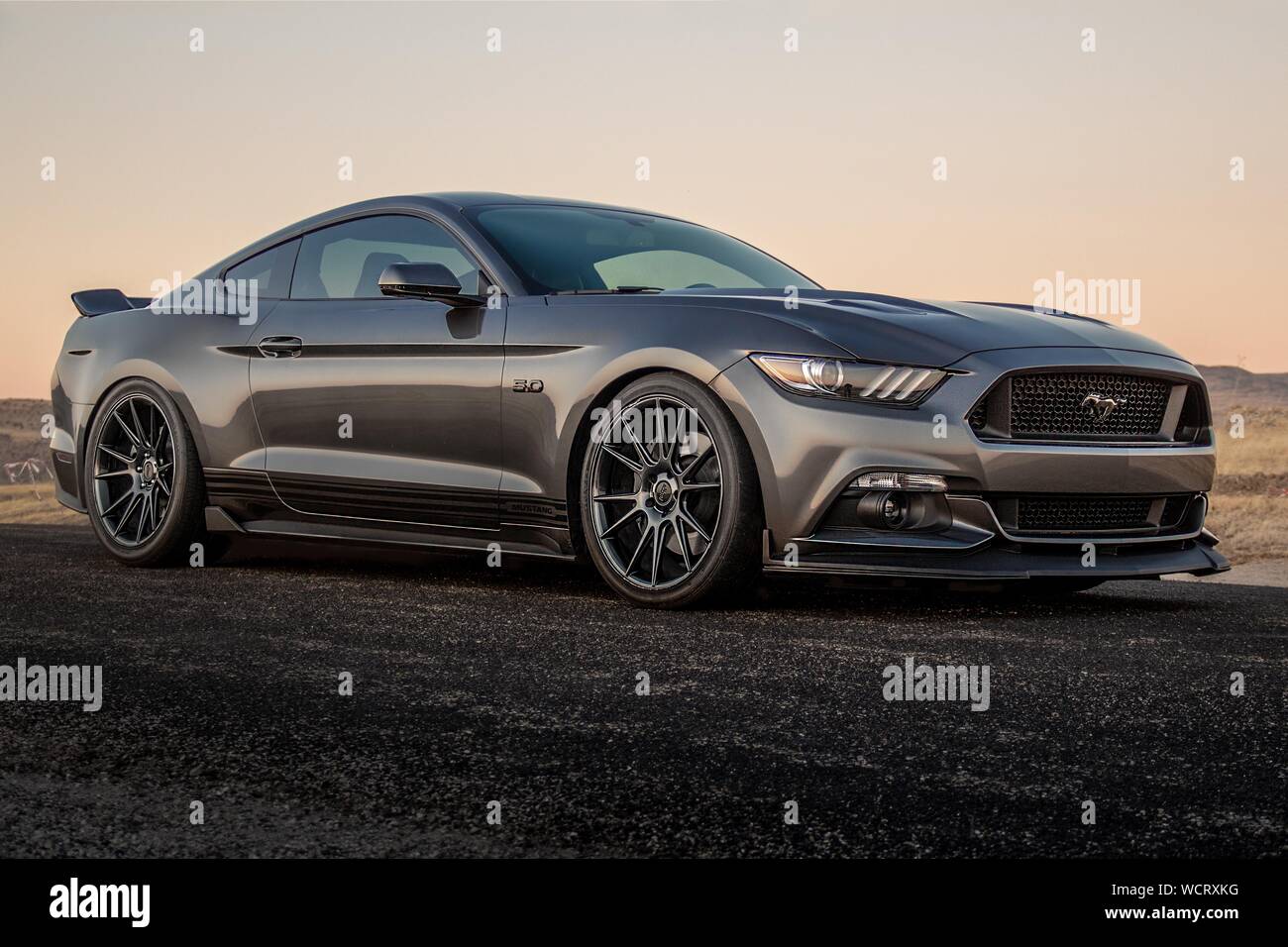 Gray ford mustang hi-res stock photography and images - Alamy