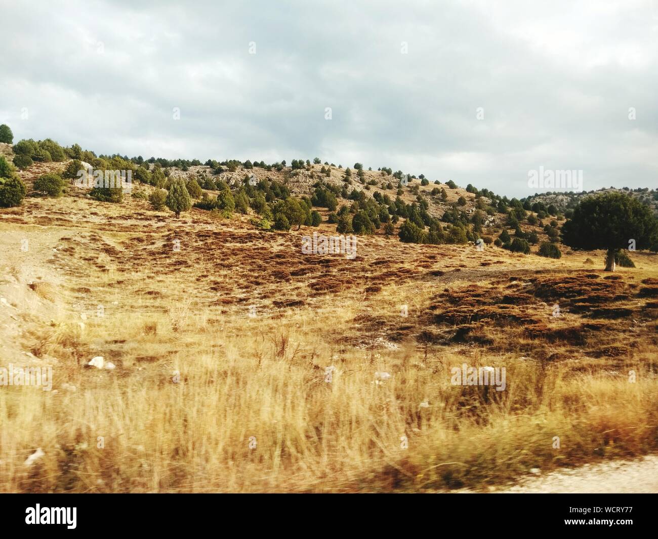 Semi Arid Landscape High Resolution Stock Photography and Images - Alamy