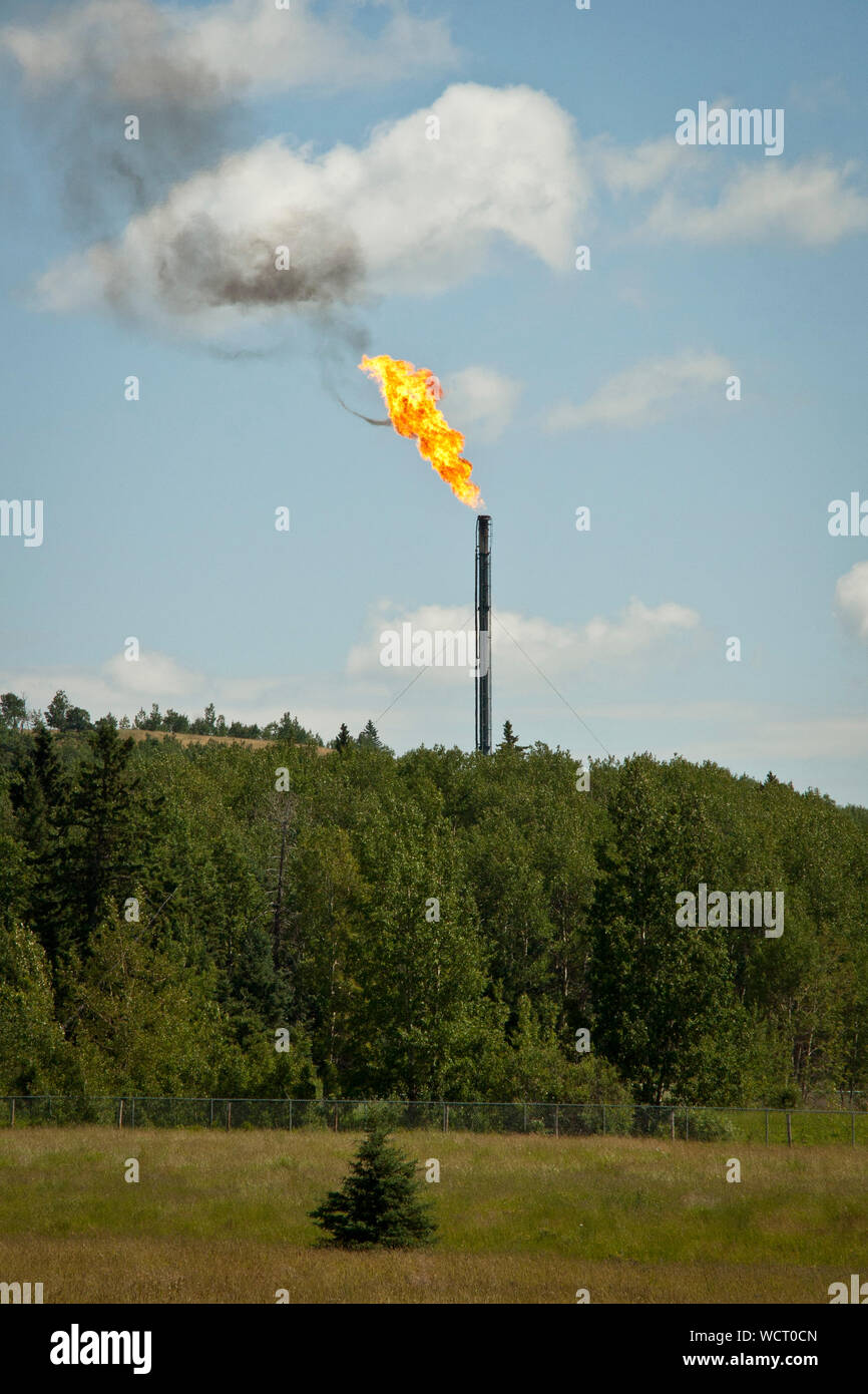 Gas emitting hi-res stock photography and images - Alamy