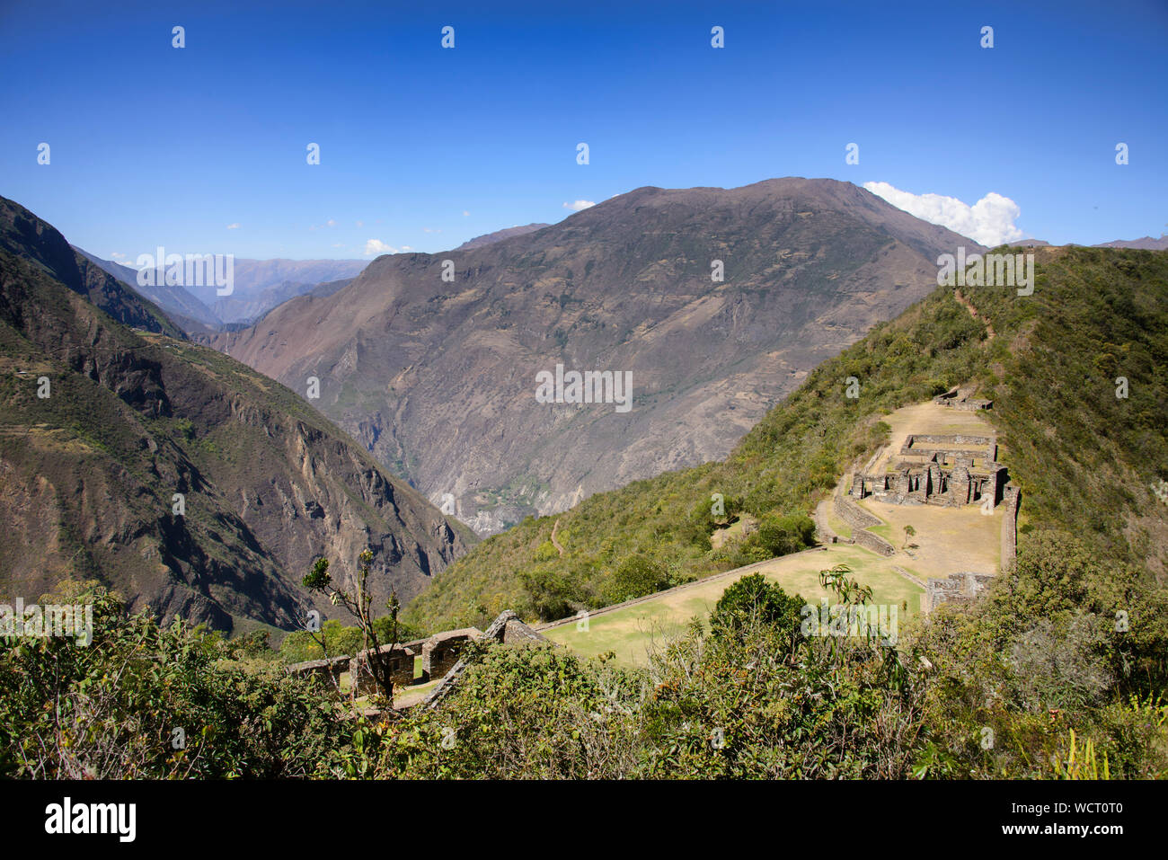 Inca llama gold hi-res stock photography and images - Alamy