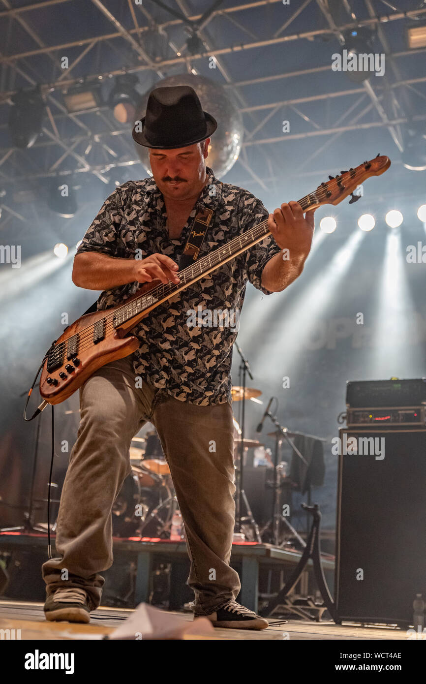 Fiori silhouette hi-res stock photography and images - Alamy