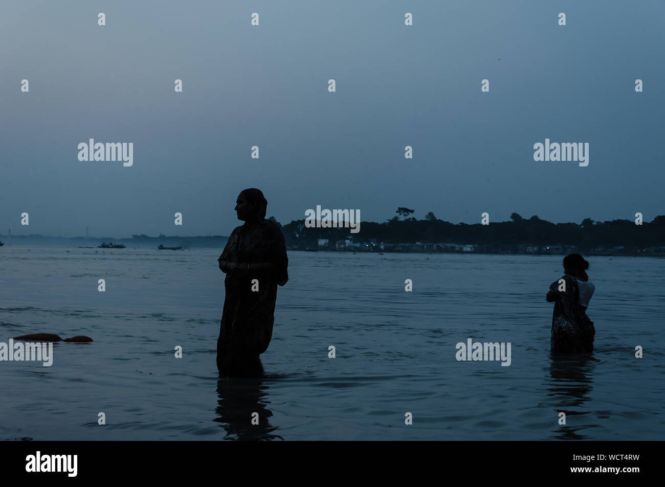 Life in a water Stock Photo - Alamy