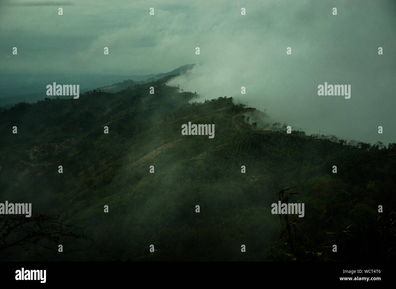 Nilgiri with Cloud Stock Photo - Alamy