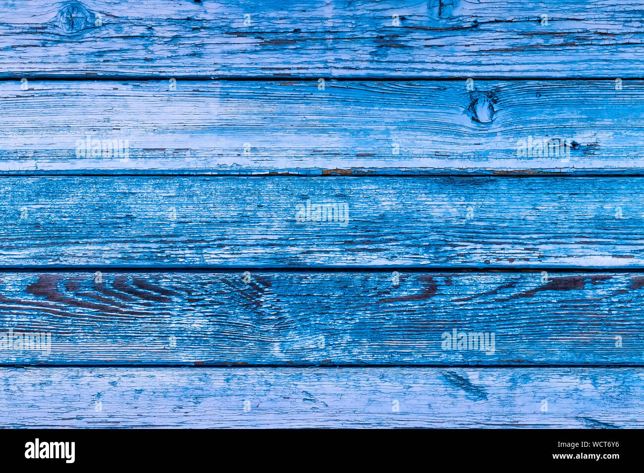 Blue texture of a board with peeling paint. Abstract background for ...