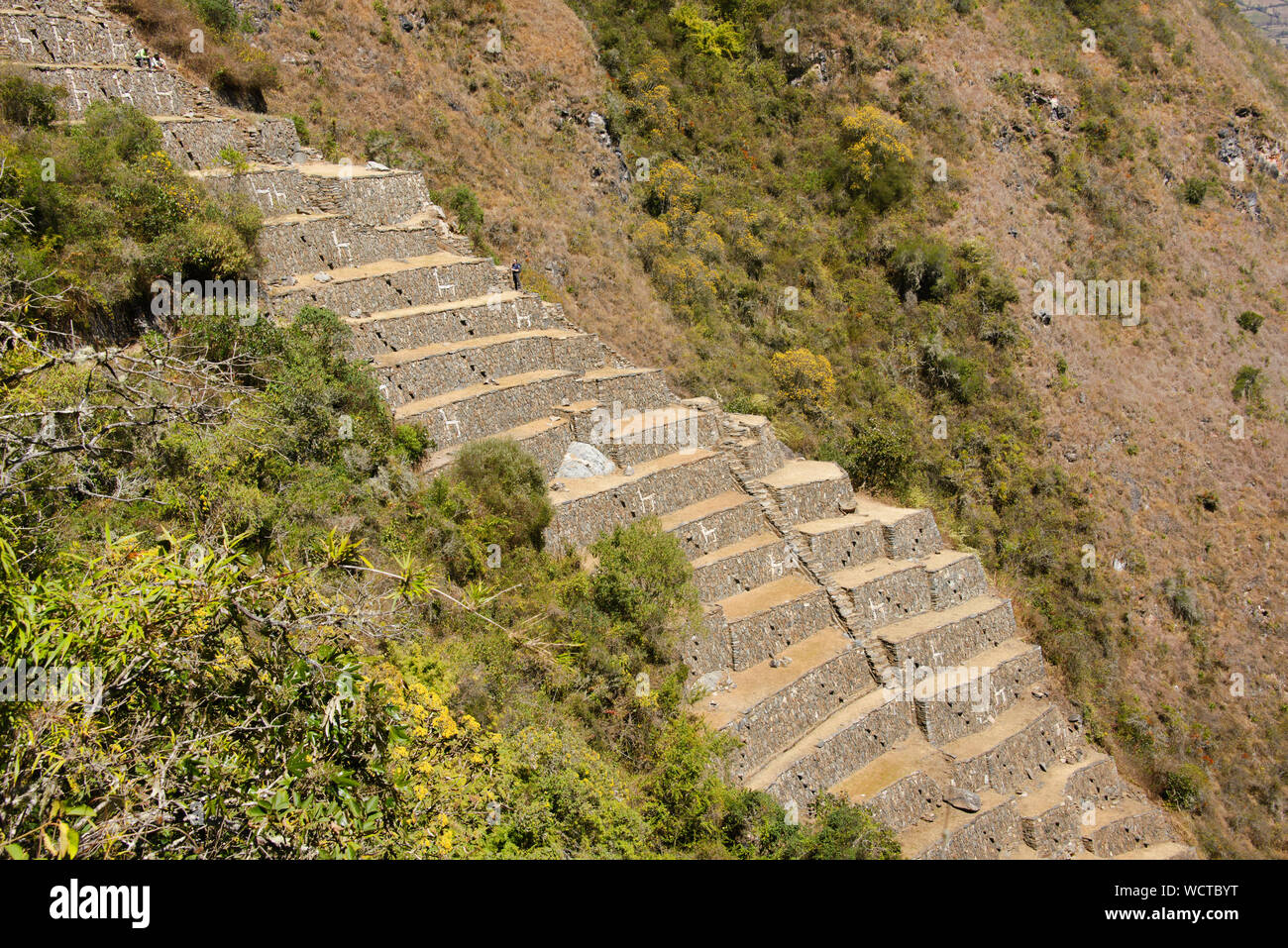White quartzite stone llama terrace of the Incan Choquequirao ruins ...