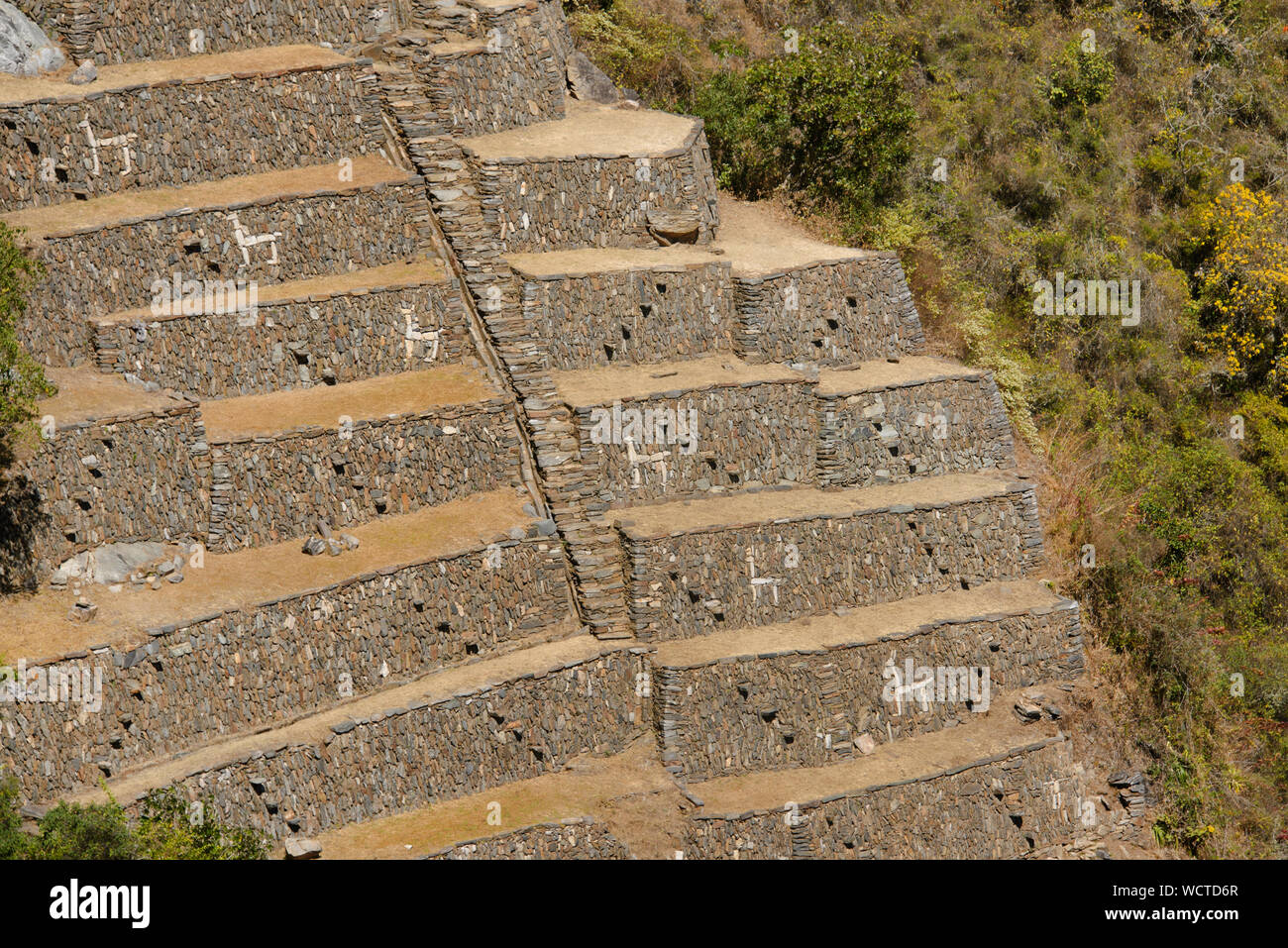 White quartzite stone llama terrace of the Incan Choquequirao ruins ...