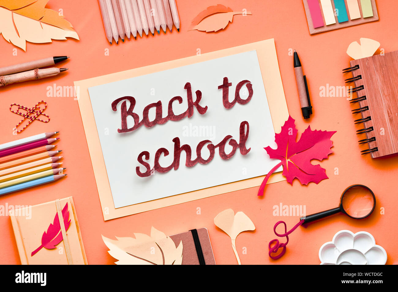 Back to school cut-out text, flat lay on coral color paper background ...