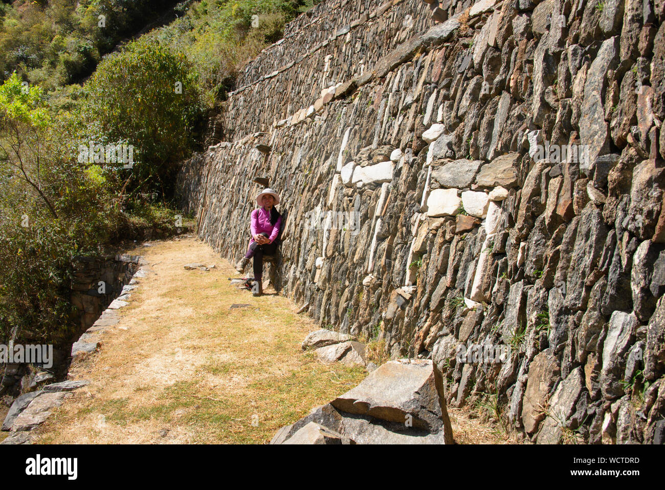 White quartzite stone llama terrace of the Incan Choquequirao ruins ...