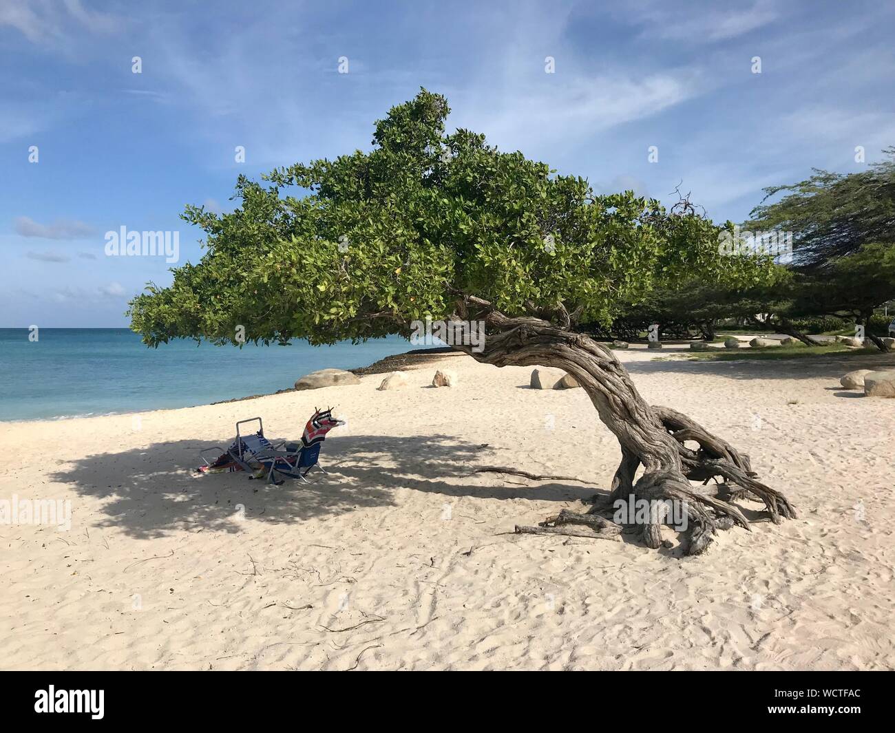 Lounge chair beach hi-res stock photography and images - Alamy