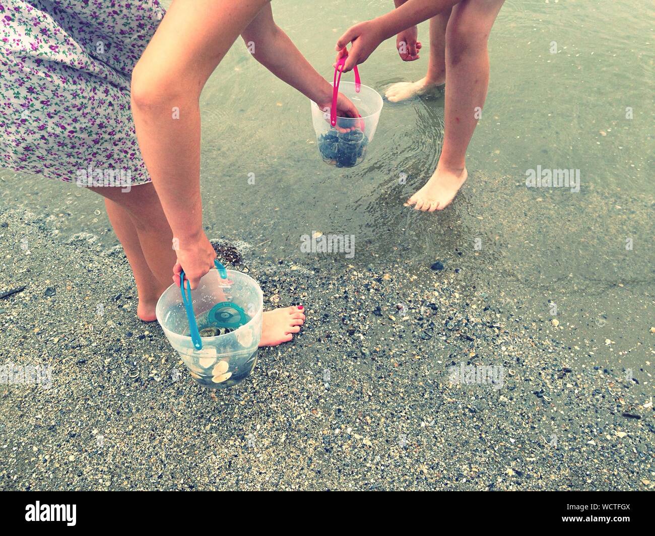 Collecting shells at the beach hi-res stock photography and images - Alamy