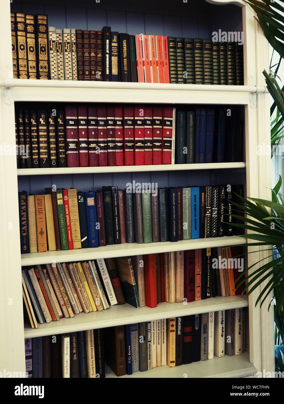 Books in the shelves hi-res stock photography and images - Alamy