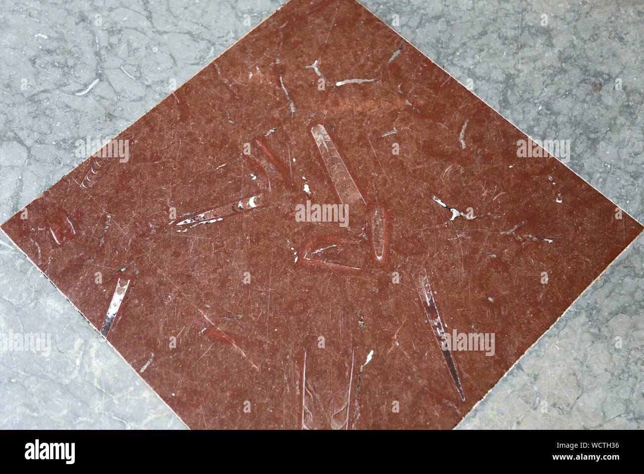 Fossils in marble floor tile, Orangery, Hampton Court Palace, East ...