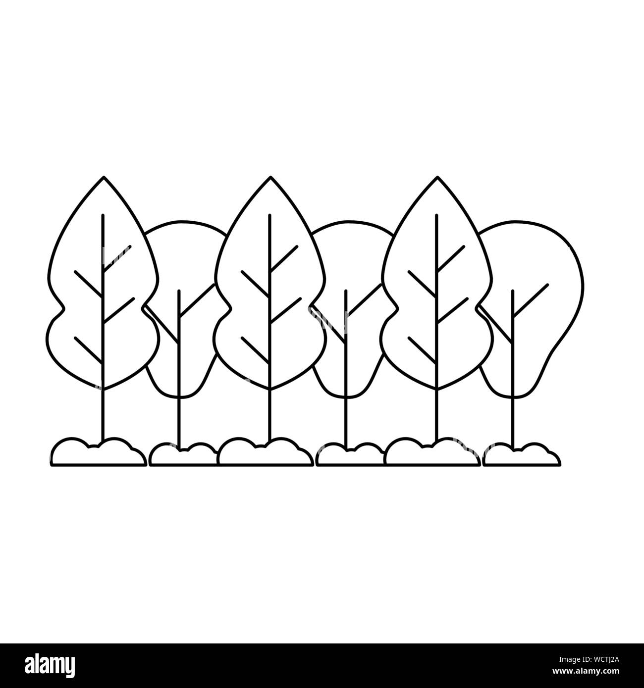 Isolated abstract and season trees design Stock Vector Image & Art - Alamy