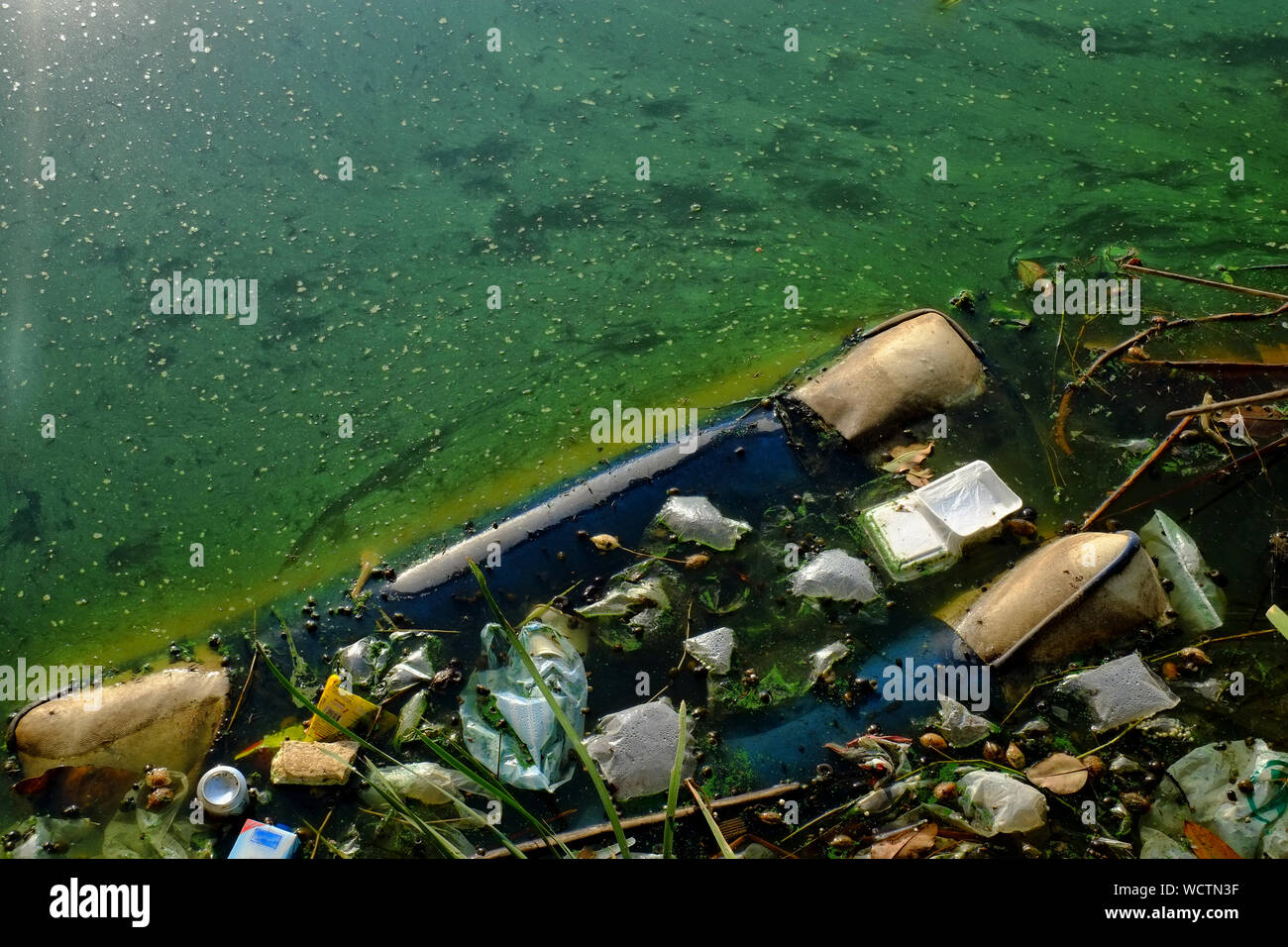 Garbage pollution lake hi-res stock photography and images - Alamy