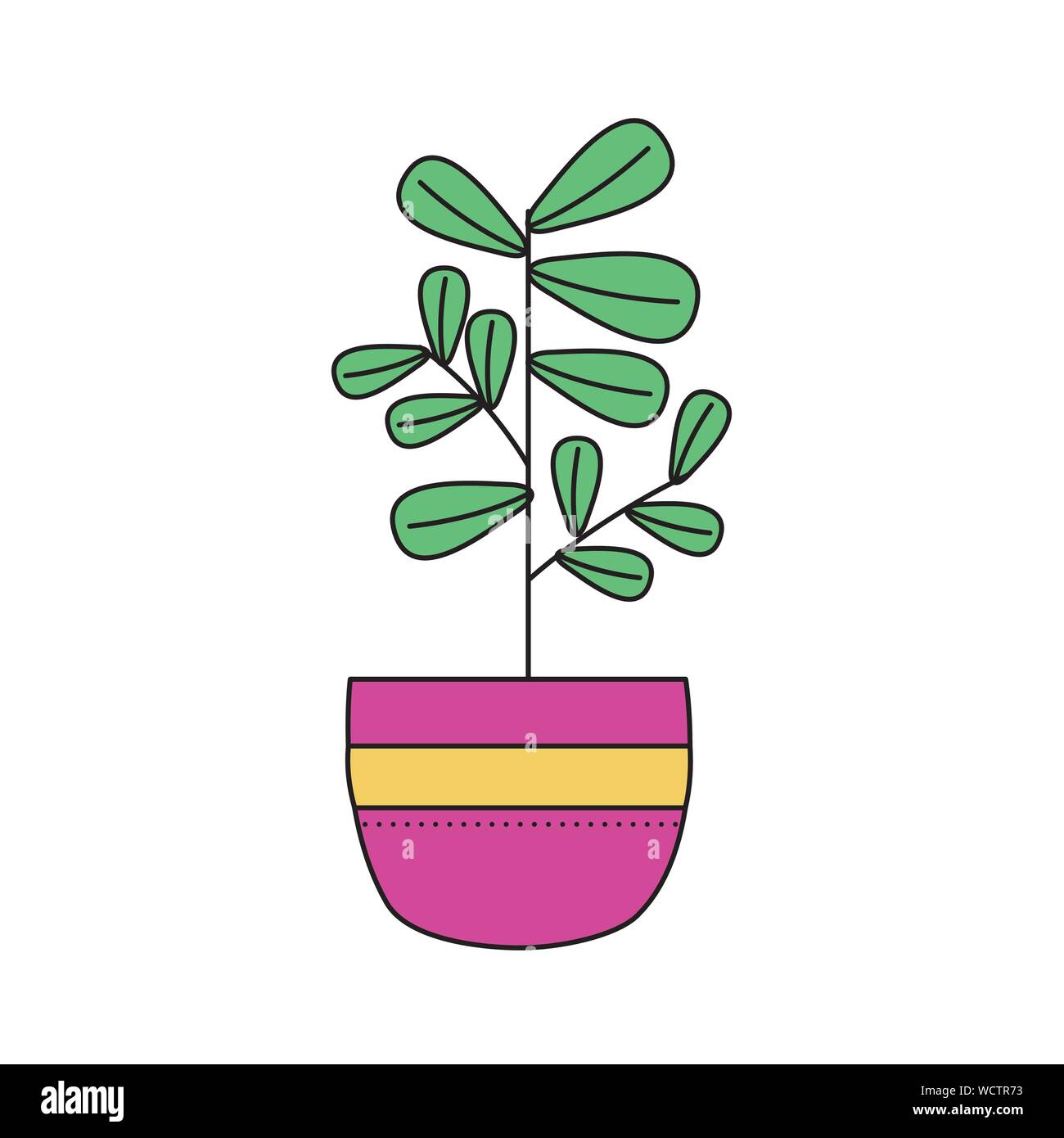 Isolated plant inside pot vector design Stock Vector Image & Art - Alamy
