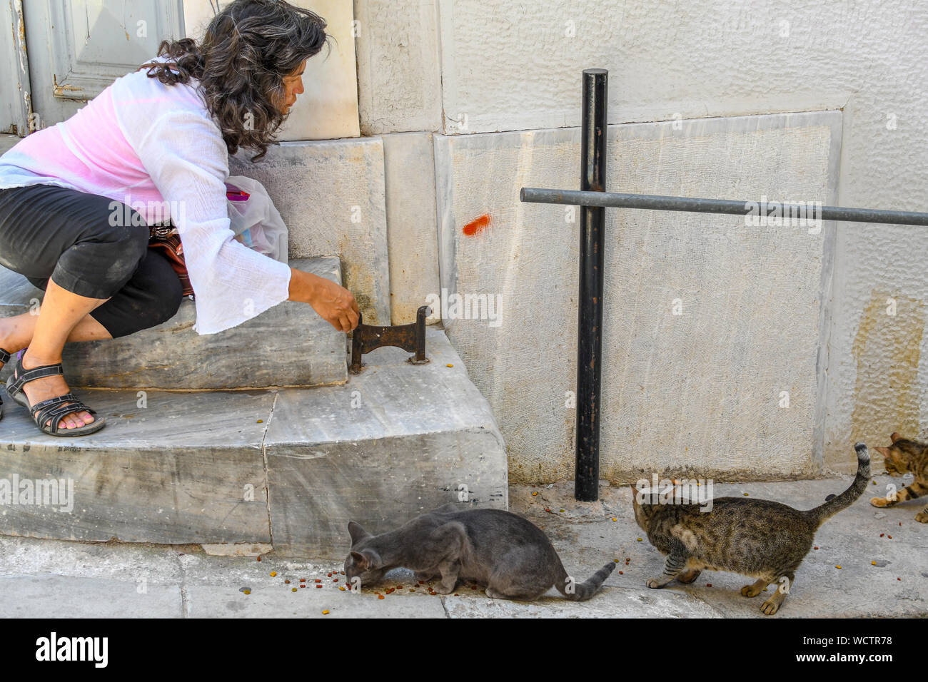 Helping strays hi-res stock photography and images - Alamy