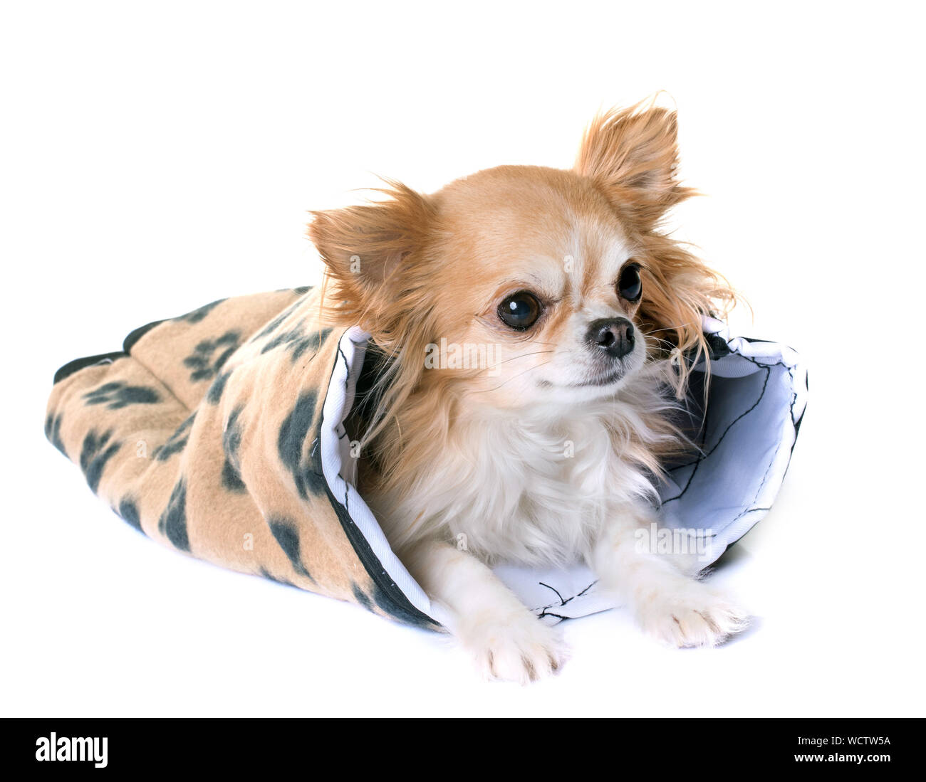 Wrapped up background hi-res stock photography and images - Alamy