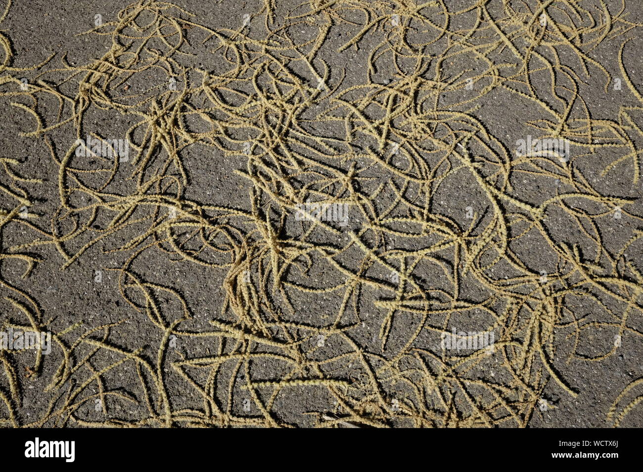 Land use patterns hi-res stock photography and images - Alamy