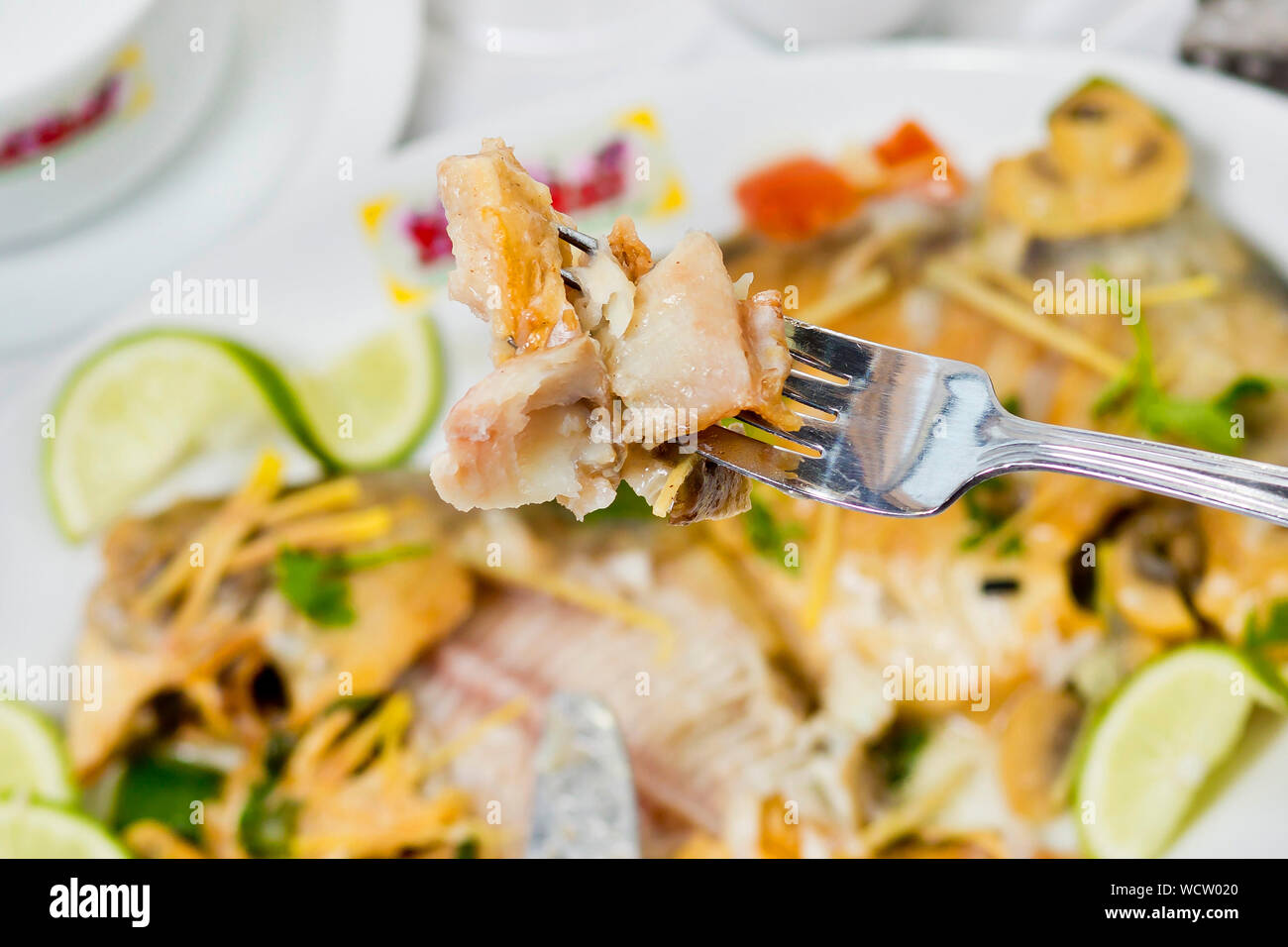 Rup Chada Mach High Resolution Stock Photography and Images - Alamy