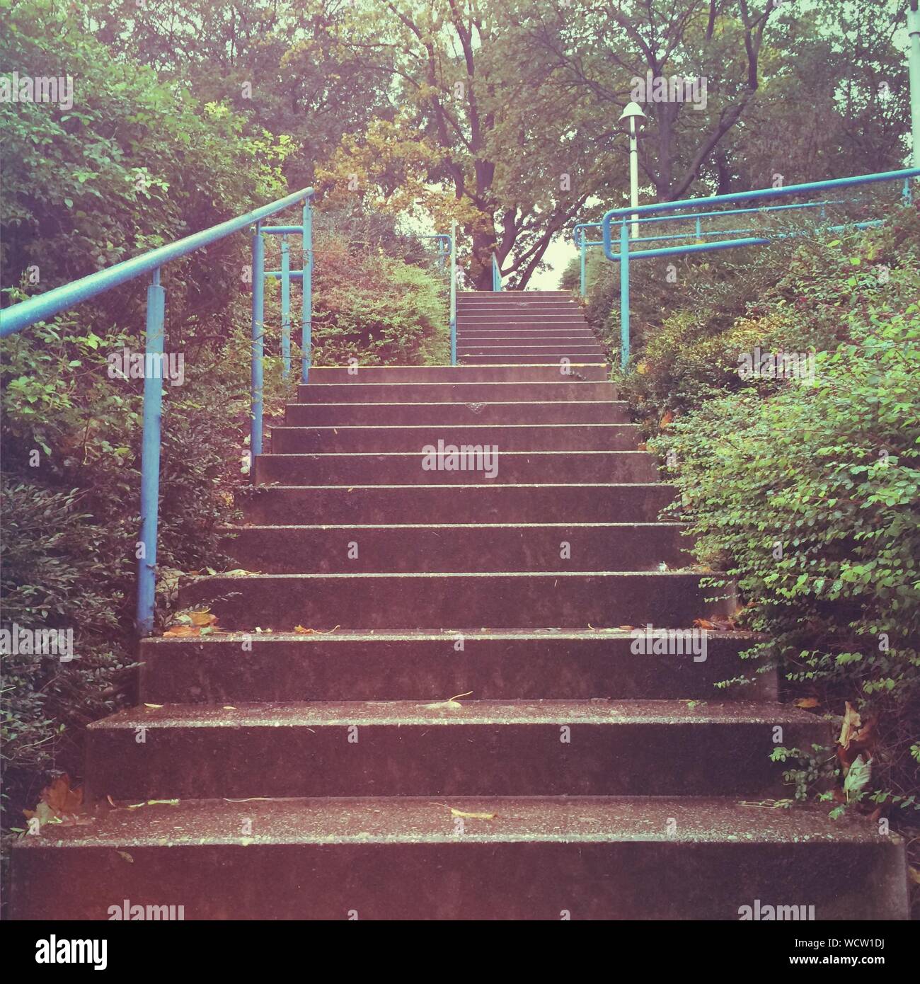 Staircase park hi-res stock photography and images - Alamy