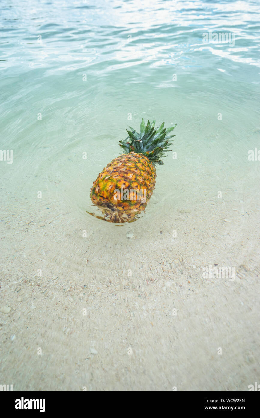 Sea fruit hi-res stock photography and images - Alamy