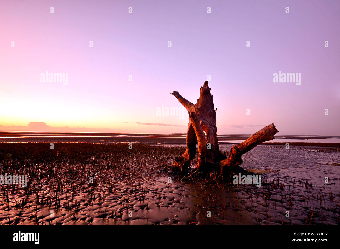 Beachmere hi-res stock photography and images - Alamy