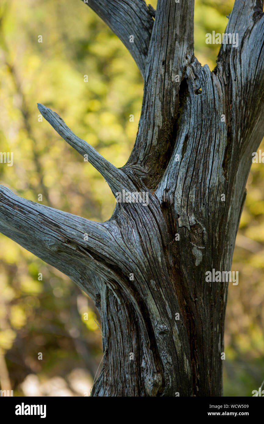 Branch lines hi-res stock photography and images - Alamy