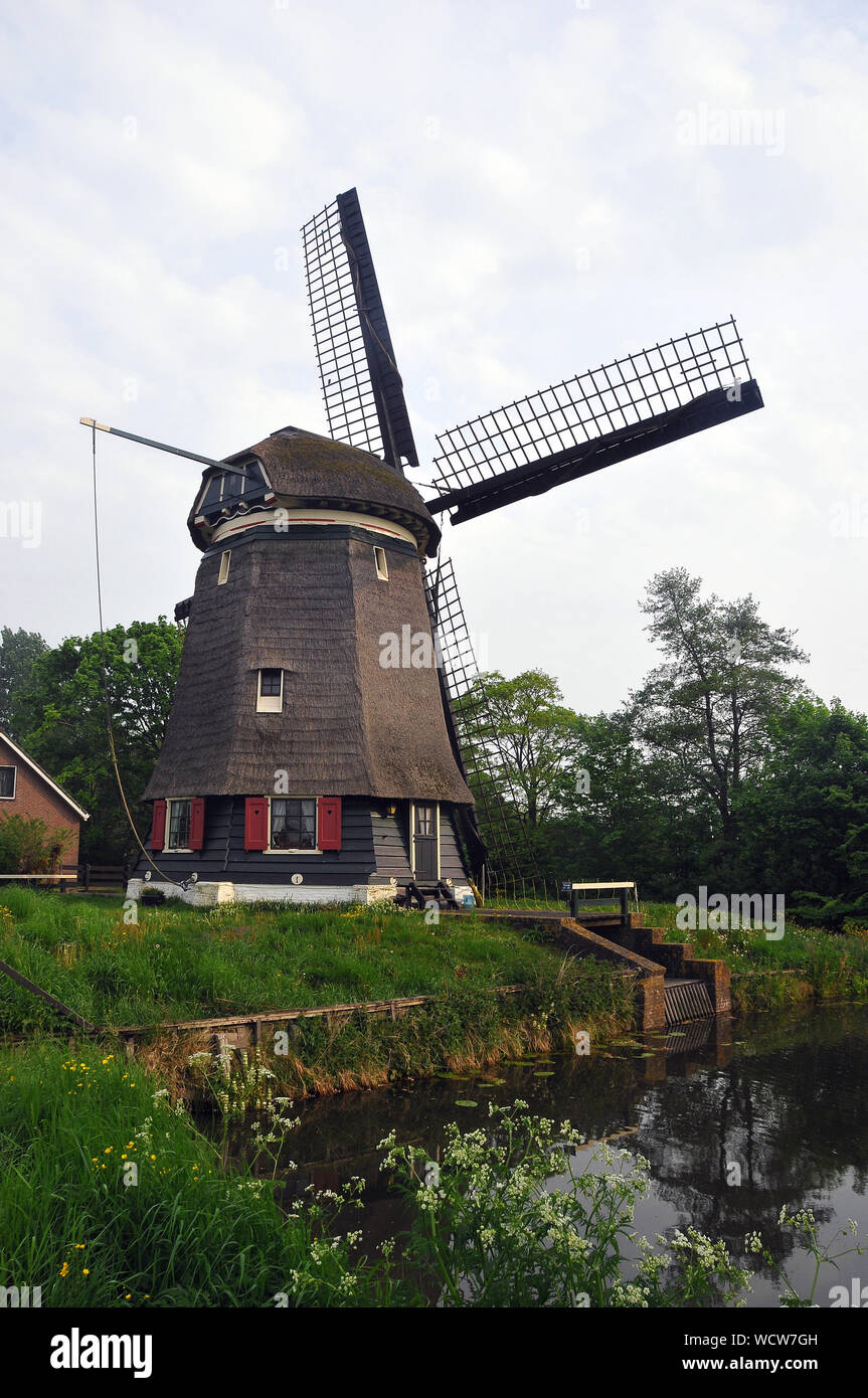 Edam windmill hi-res stock photography and images - Alamy