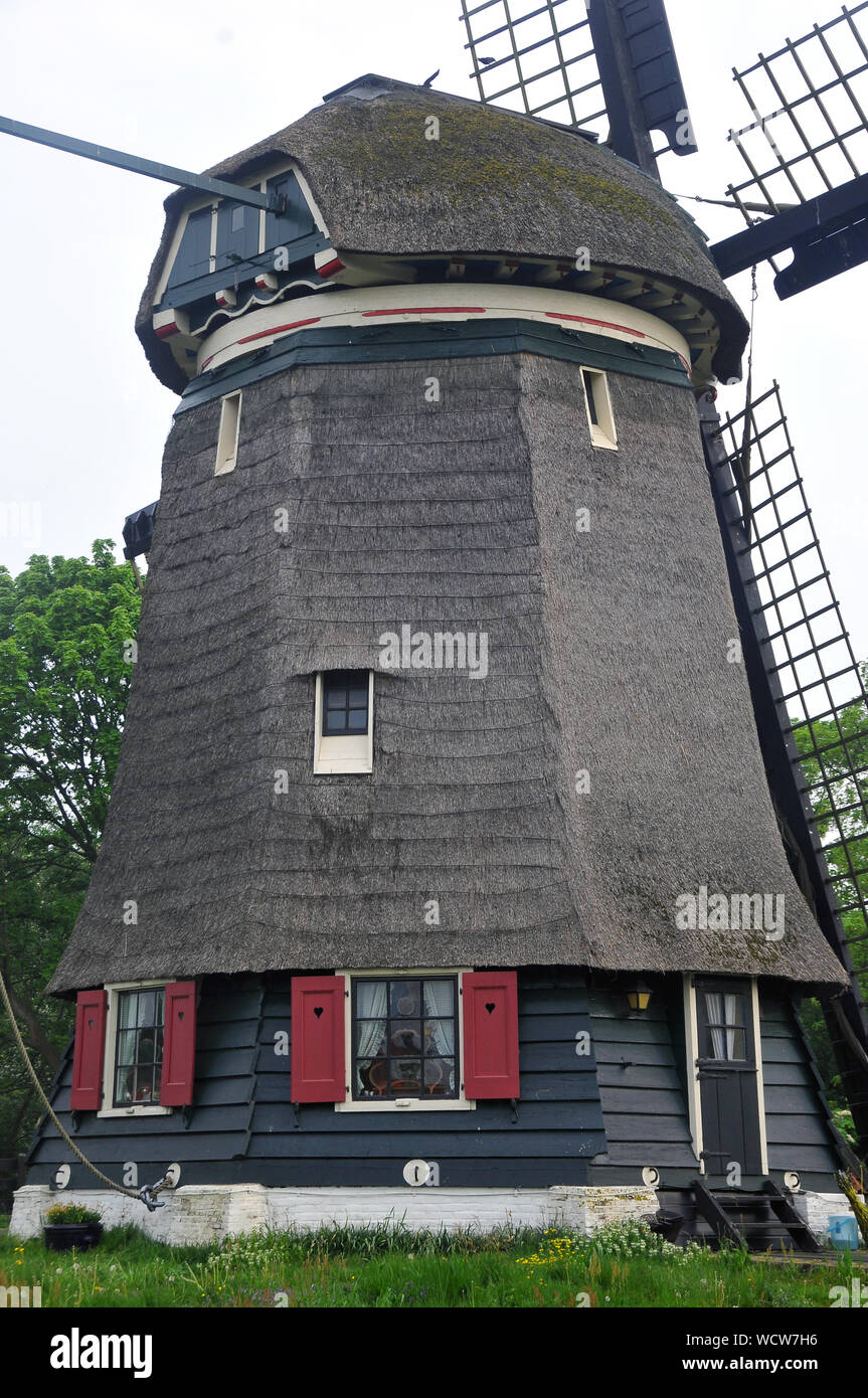 windmill, Edam, Netherlands, Europe Stock Photo - Alamy