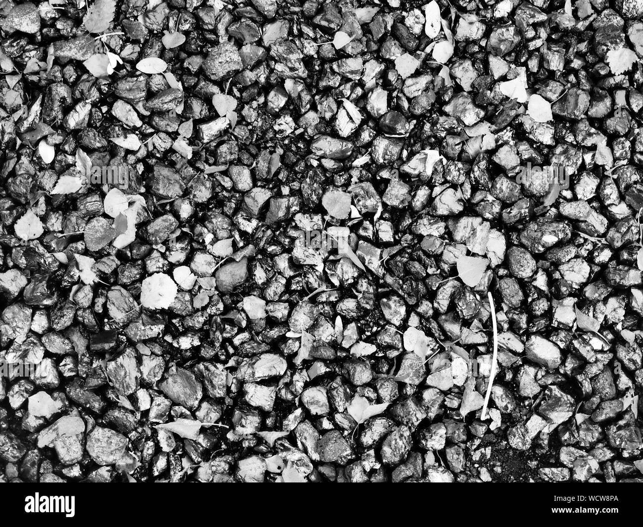 Pebbles detail hi-res stock photography and images - Alamy