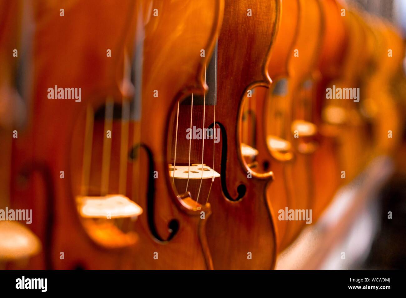 Violins for sale hi-res stock photography and images - Alamy