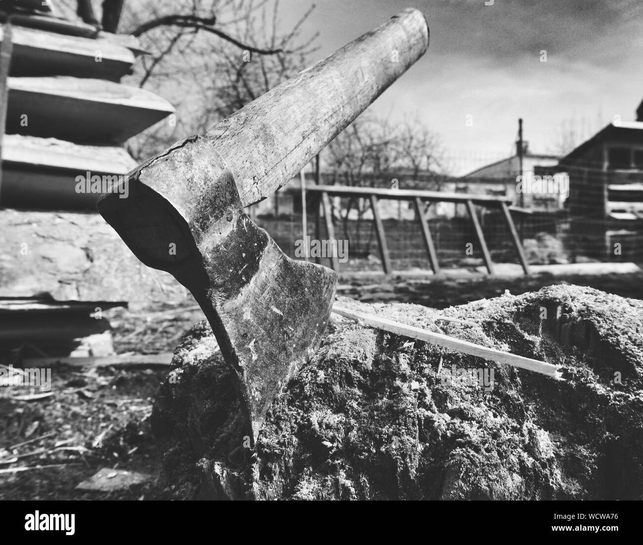 Axe tree hi-res stock photography and images - Alamy