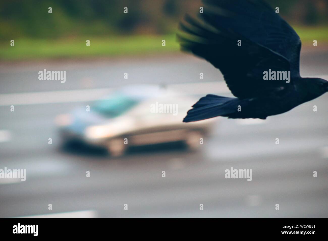 Flying car hi-res stock photography and images - Alamy