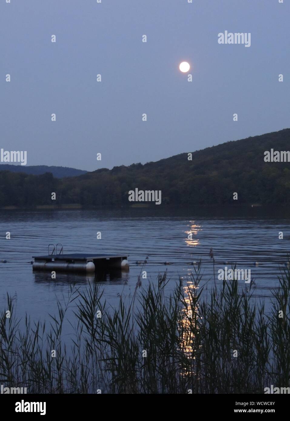 Floating platform lake hi-res stock photography and images - Alamy
