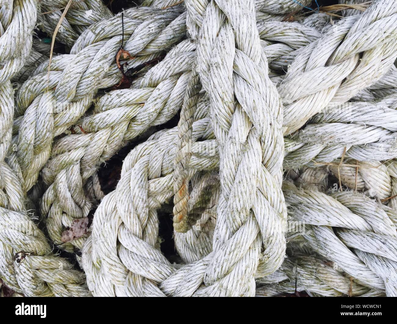 Curled ropes hi-res stock photography and images - Alamy