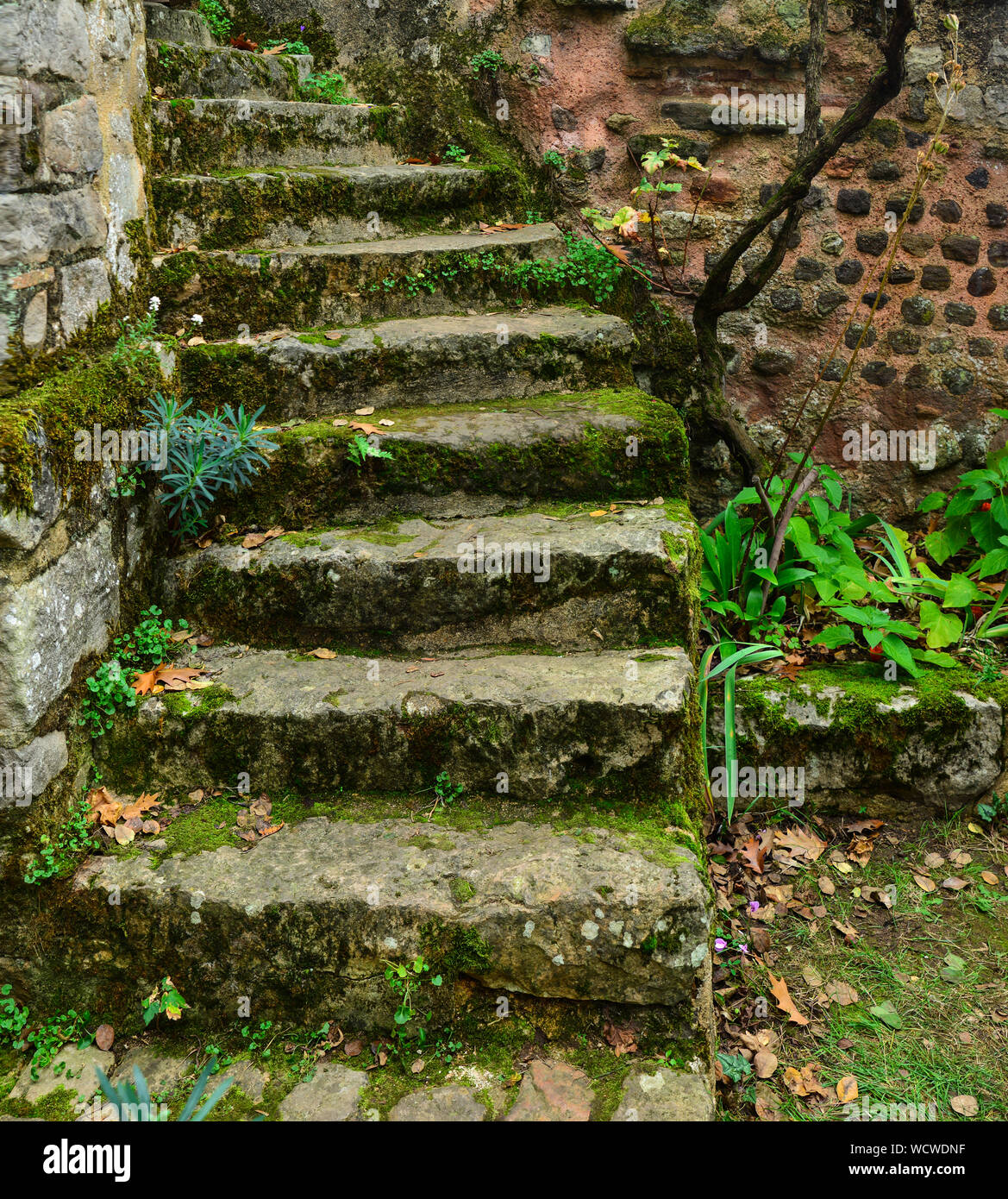 Ancient stair case hi-res stock photography and images - Alamy