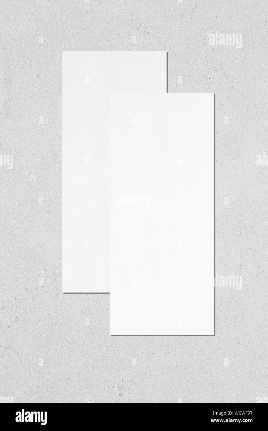Two empty white vertical rectangle price-list or menu mockups with soft ...